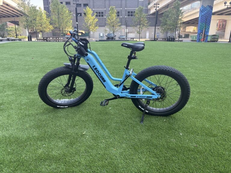 Leoguar Fathawk ST Ebike Review (Formerly the Strider ST) - Financial Panther