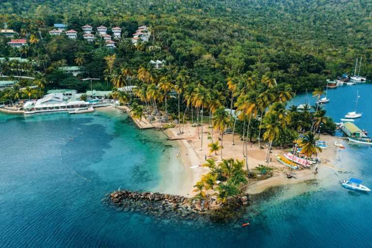 Exploring Global Mobility and Investment Opportunities in the Caribbean ...